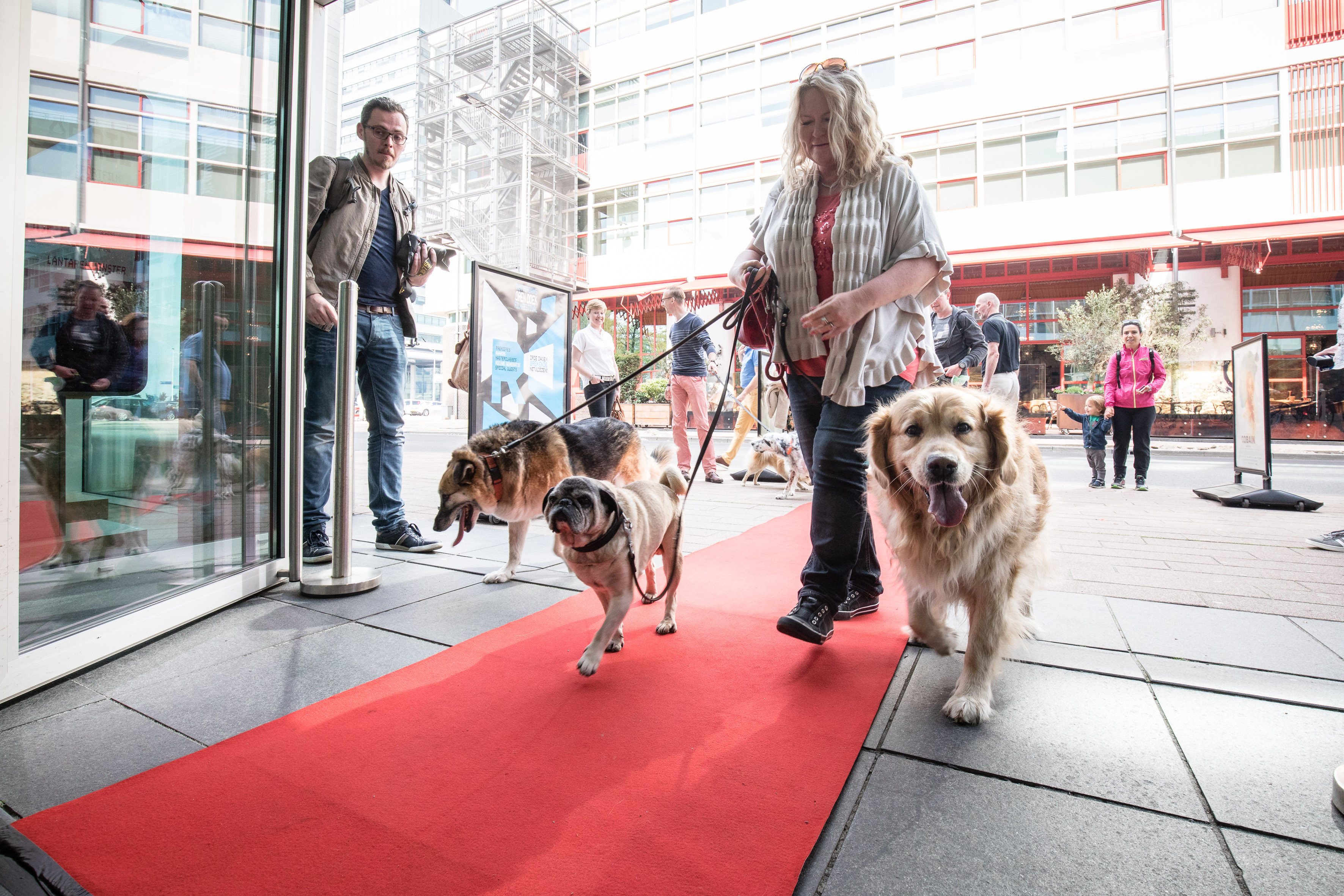 Uitverkochte zaal Isle of Dogs met Rotterdamse honden ...