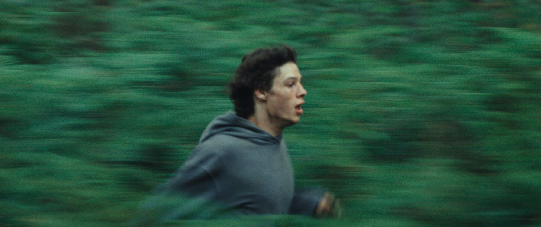 Le règne animal - LantarenVenster Rotterdam