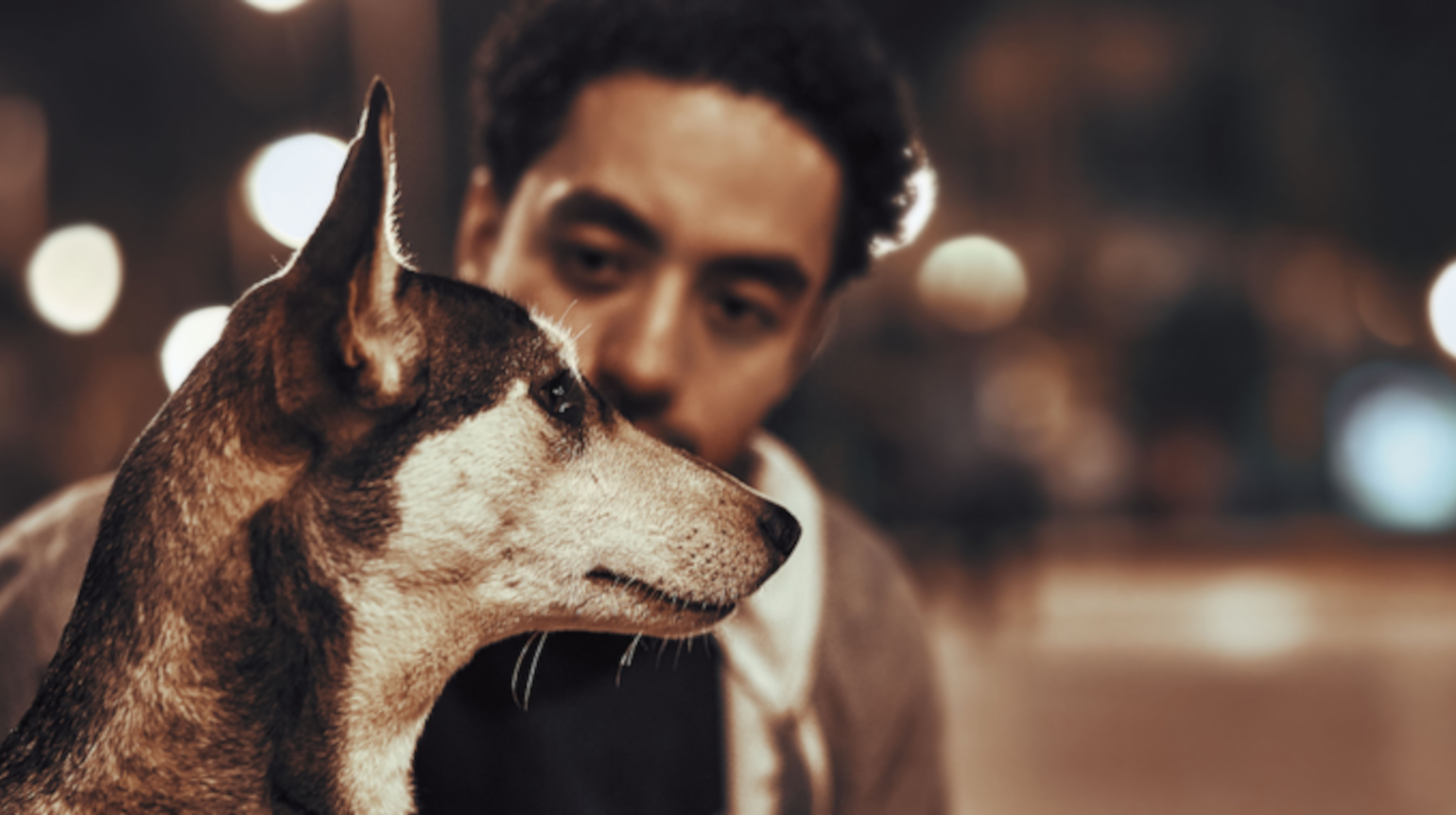 Seeking Haven for Mr. Rambo - LantarenVenster Rotterdam